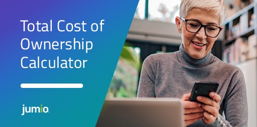 Online Identity Verification TCO Calculator